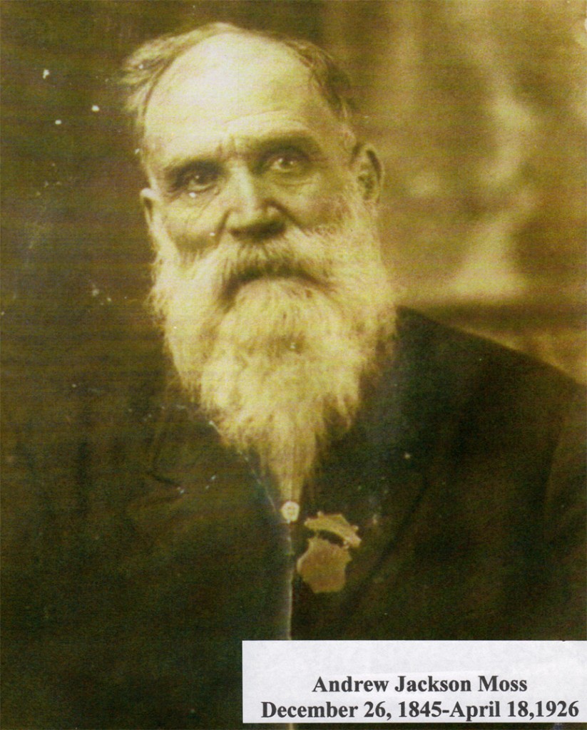 The Moss Family - The 8th GeorgiaThe 8th Georgia